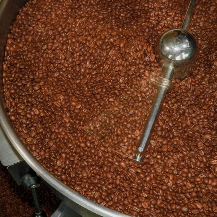 Buy Coffee Beans Online India with Rossette Coffee Lab – ROSSETTE