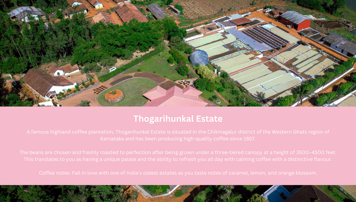 Monsoon Malabar AA Medium Roast coffee Beans buy Online India ...